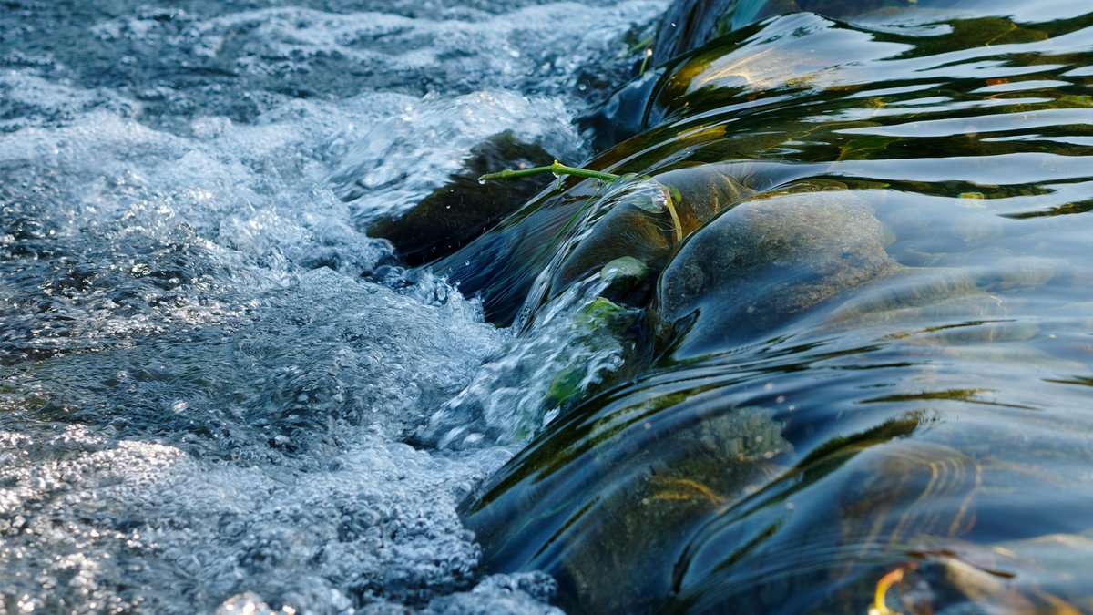 New evidence on the dielectric constant and conductivity of water - polimi